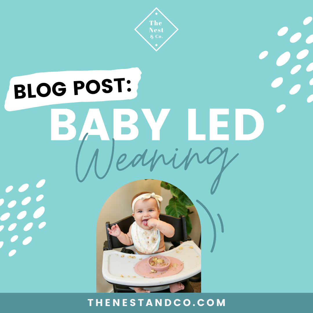 Baby Led Weaning - Guest Post by Alexandra Beleche – The Nest & Company